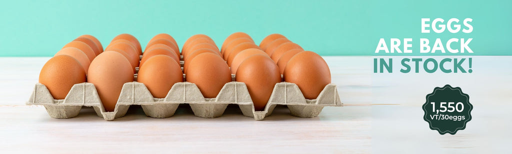 Dynamic Vanuatu Online Store